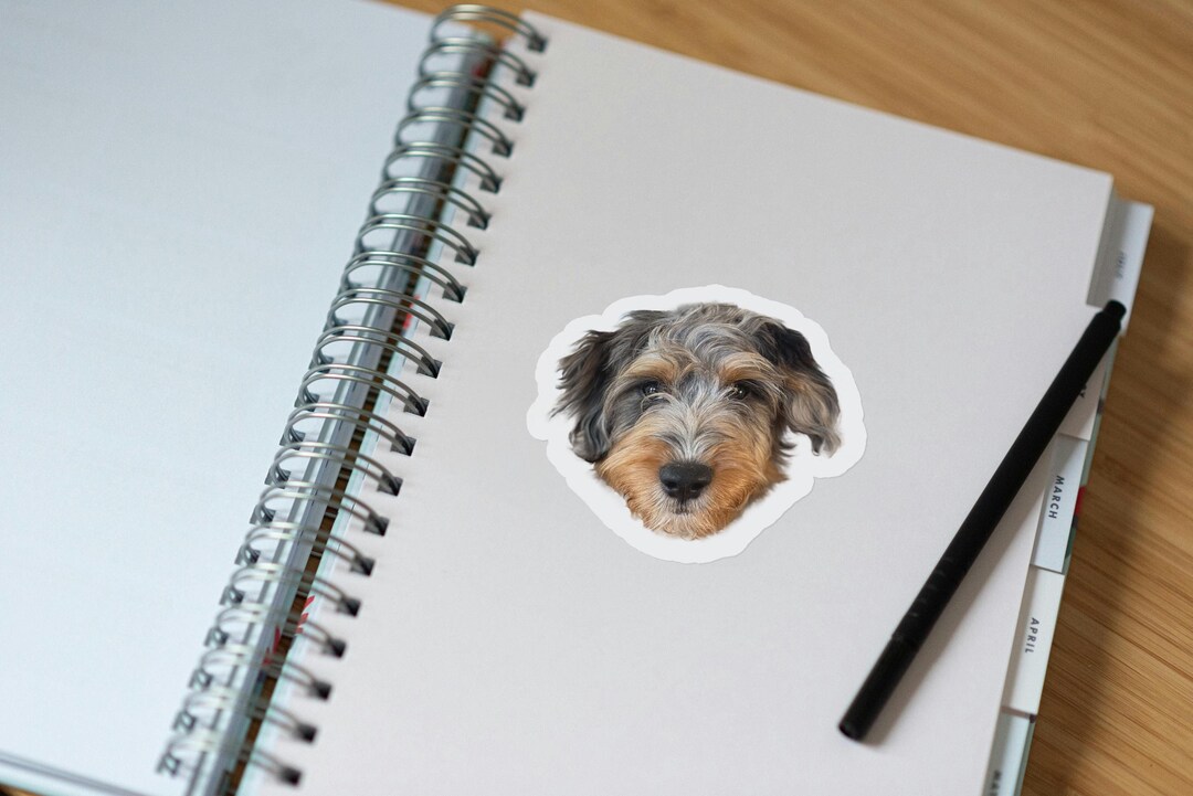 Personalized Pet Sticker, Pet Photo Sticker, Waterproof Water Bottle ...