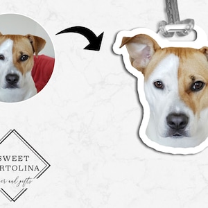Custom Pet Photo Luggage Tag | Personalized Pet Luggage Tag | Kids ...