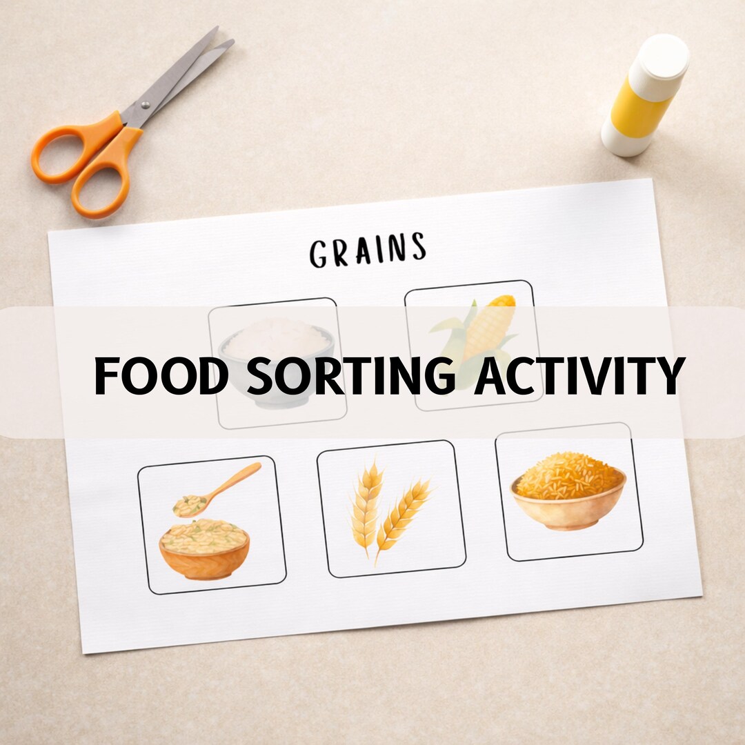 Food Sorting Activity for Kids Printable, Fruits Vegetables Grains ...