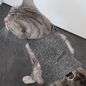 HARRIS TWEED Limited Edition Ready Made Cat Harness / Walking Jacket by ...