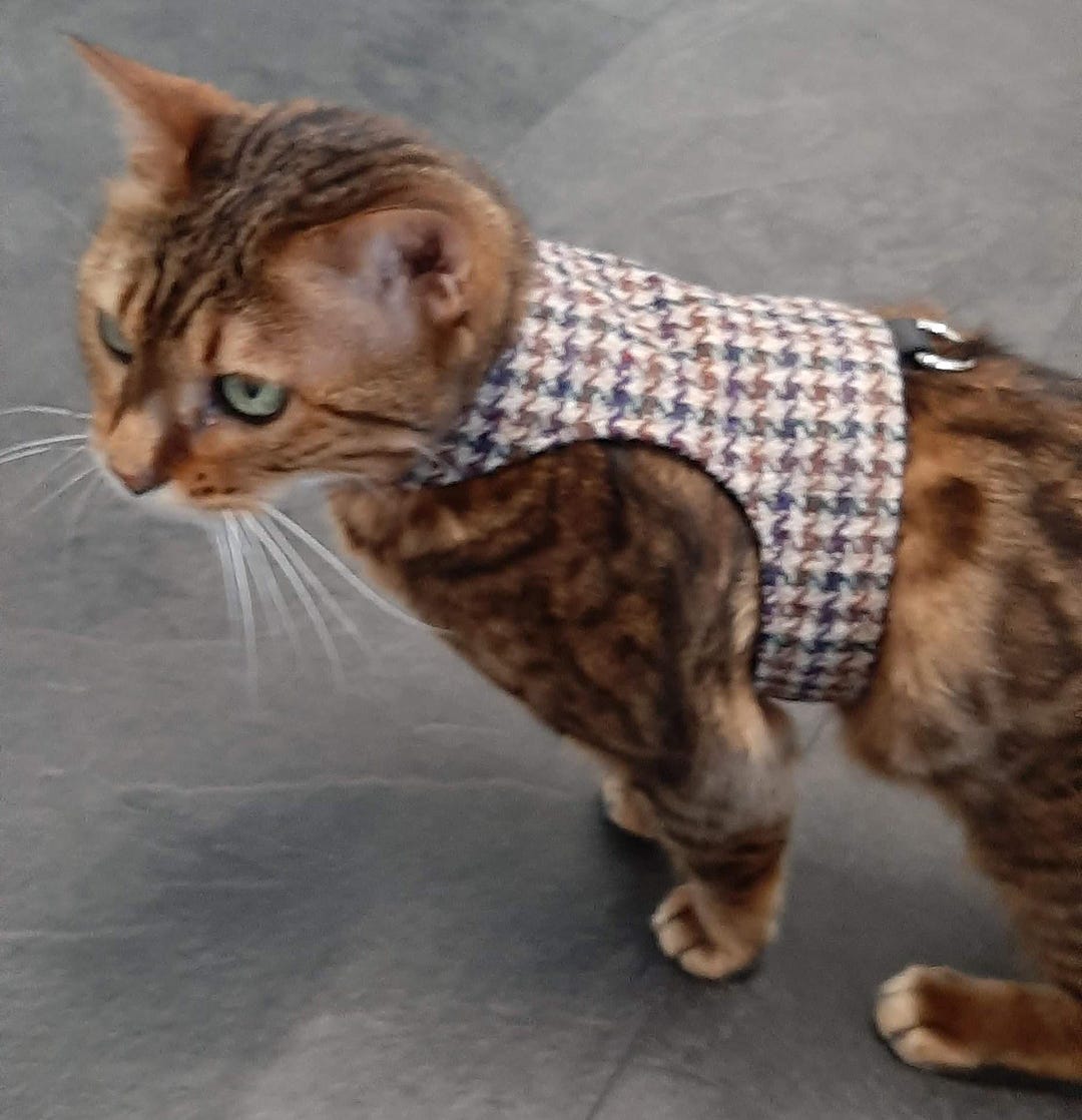HARRIS TWEED Limited Edition- Ready Made - Cat Harness / Walking Jacket ...