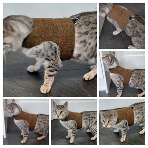 HARRIS TWEED Limited Edition Ready Made Cat Harness/walking Jacket by ...