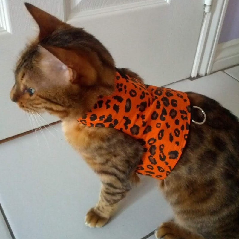 Cat Harness Pattern - Etsy