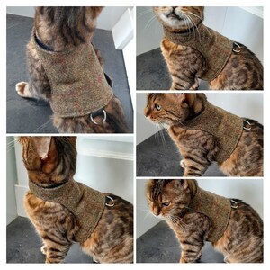 HARRIS TWEED Limited Edition Ready Made Cat Harness/walking Jacket by ...