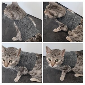 HARRIS TWEED Limited Edition Ready Made Cat Harness / Walking Jacket by ...