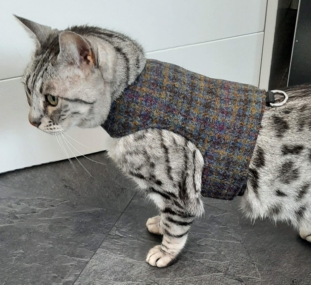 HARRIS TWEED Limited Edition- Ready Made - Cat Harness / Walking Jacket ...