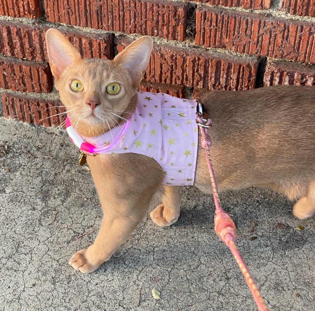 Custom Made to Order Cat Harness / Walking Jacket by Land O' Burns ...