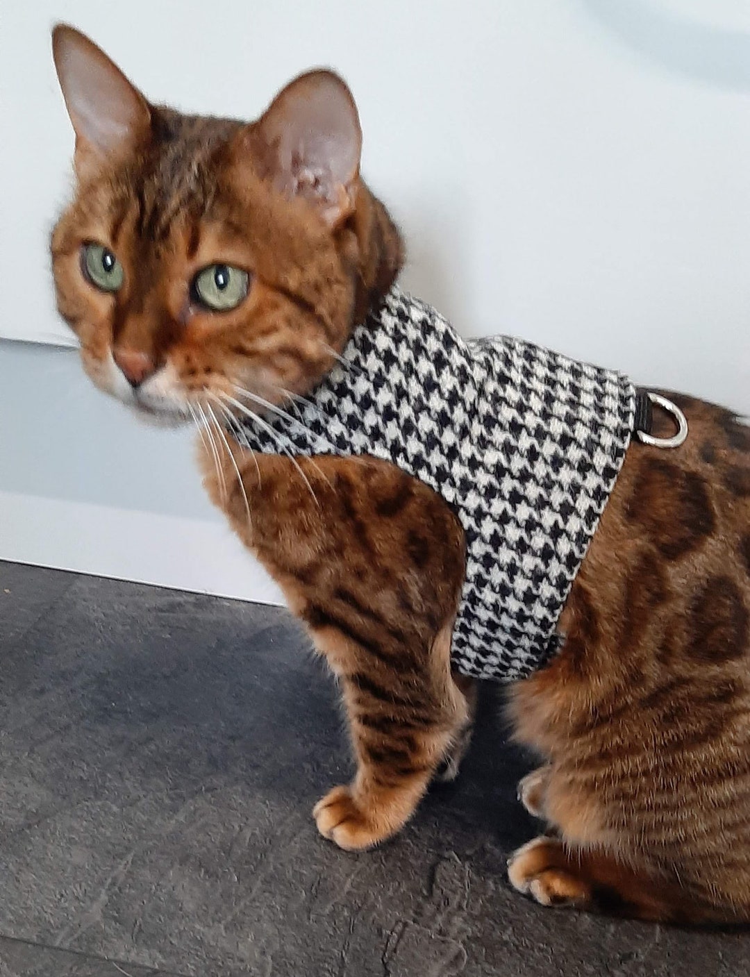 HARRIS TWEED Limited Edition- Ready Made - Cat Harness / Walking Jacket ...