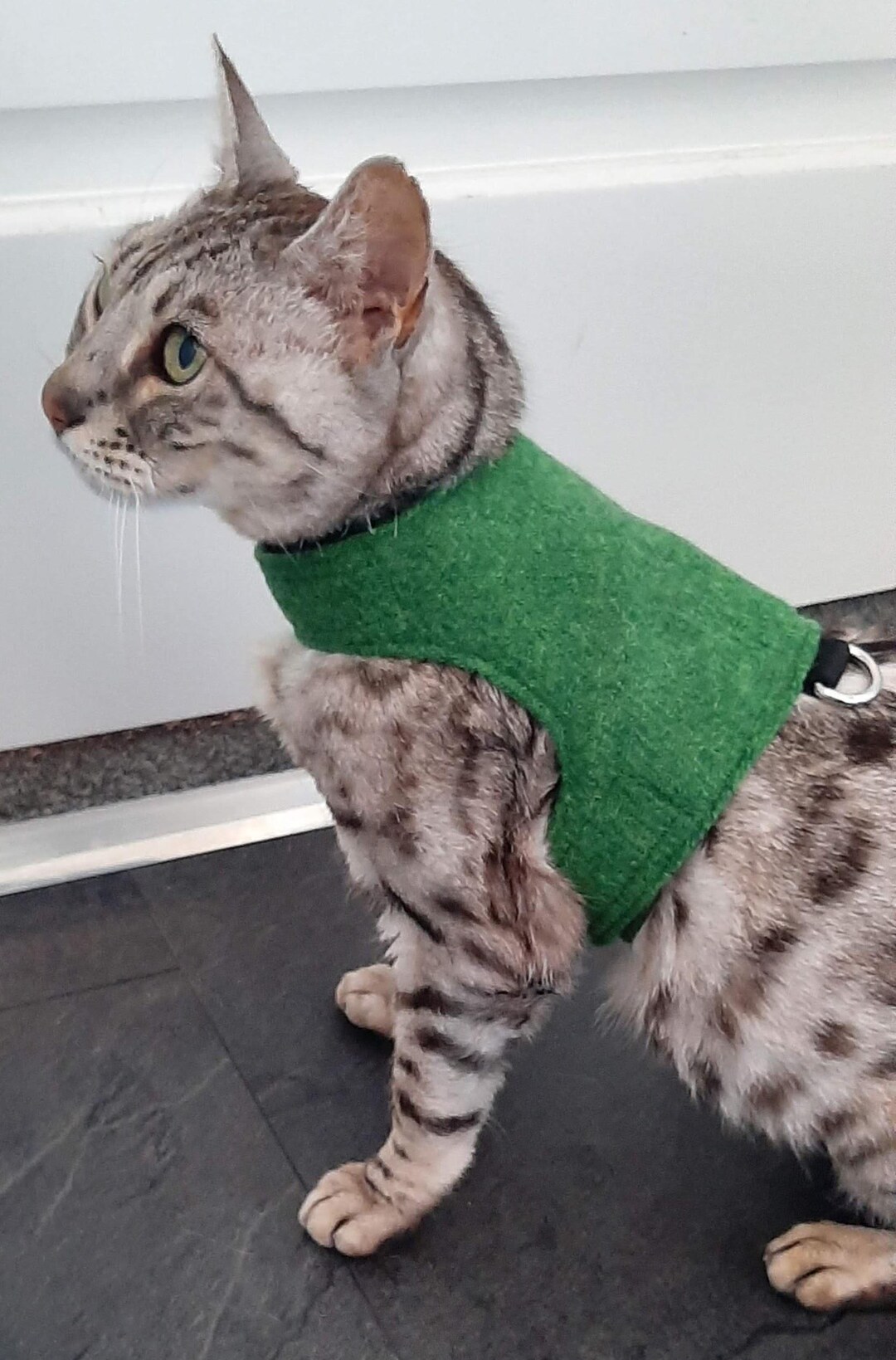 HARRIS TWEED Limited Edition- Ready Made - Cat Harness / Walking Jacket ...
