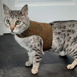 HARRIS TWEED Limited Edition Ready Made Cat Harness/walking Jacket by ...