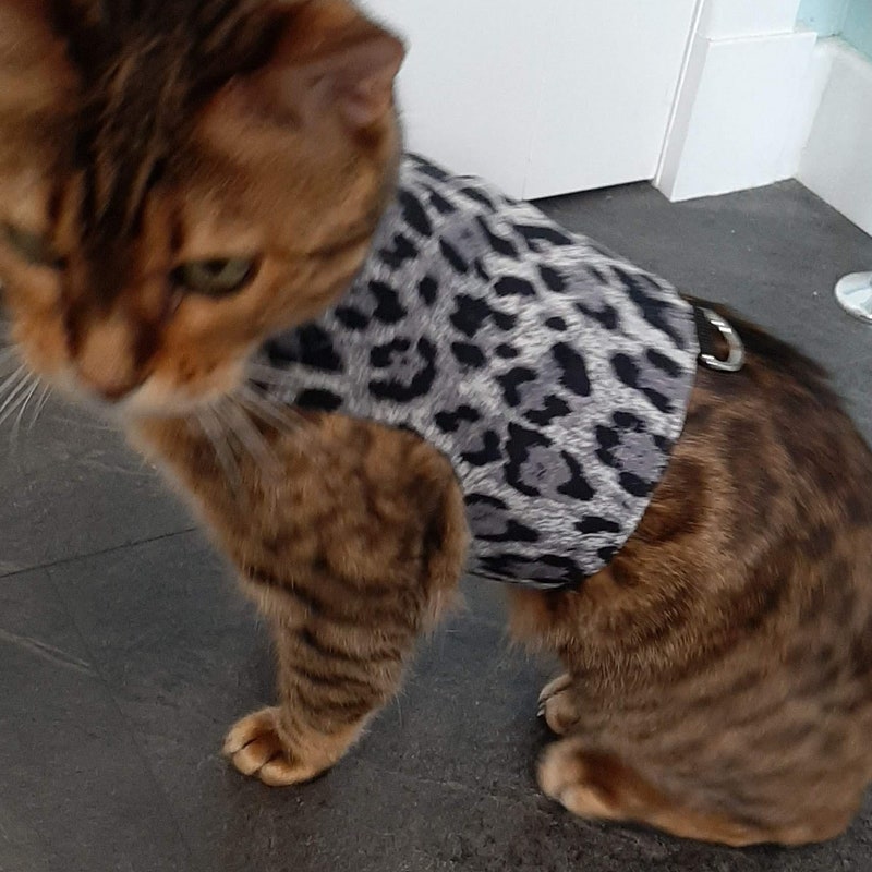 Cat Print Jacket - Etsy