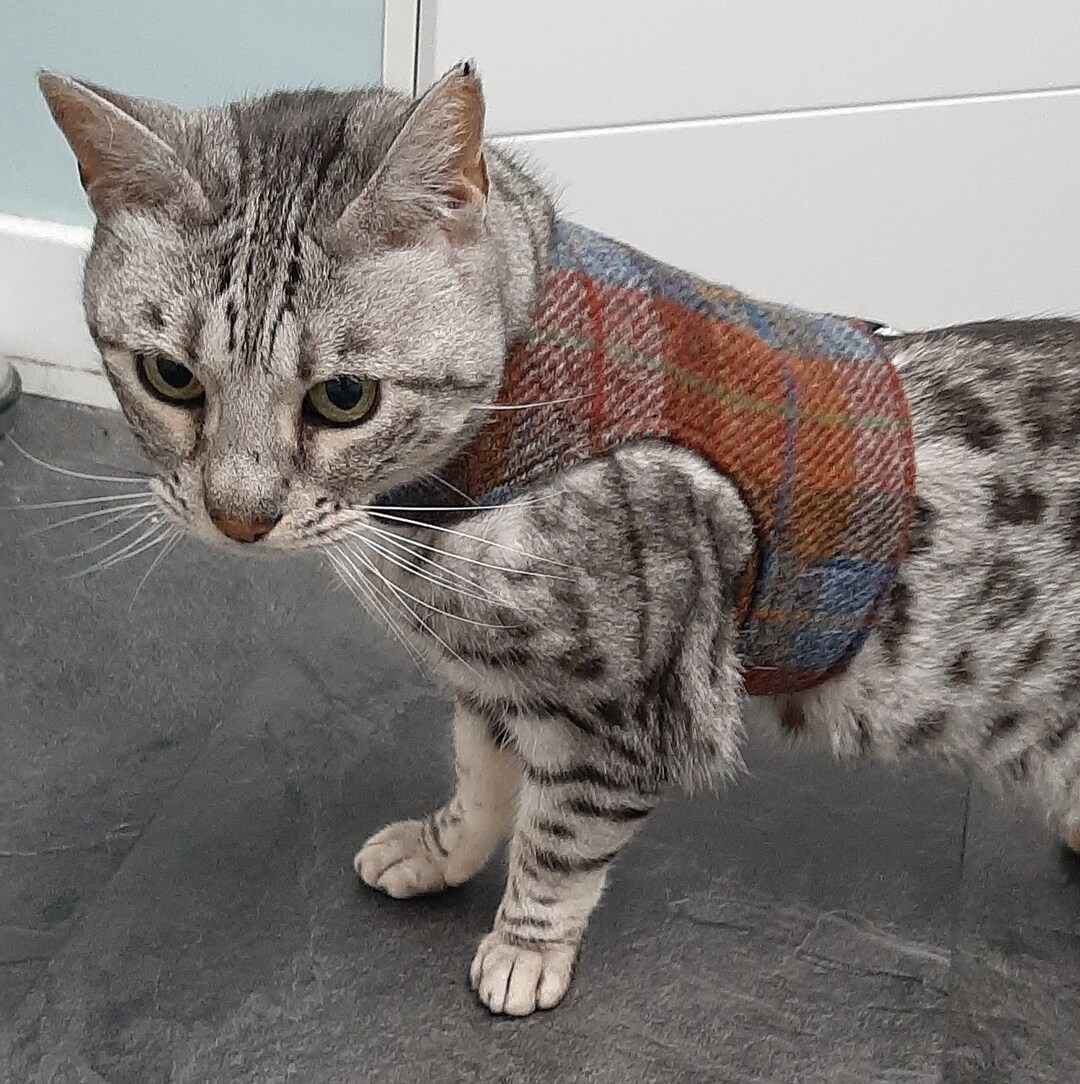 HARRIS TWEED Limited Edition- Ready Made - Cat Harness / Walking Jacket ...