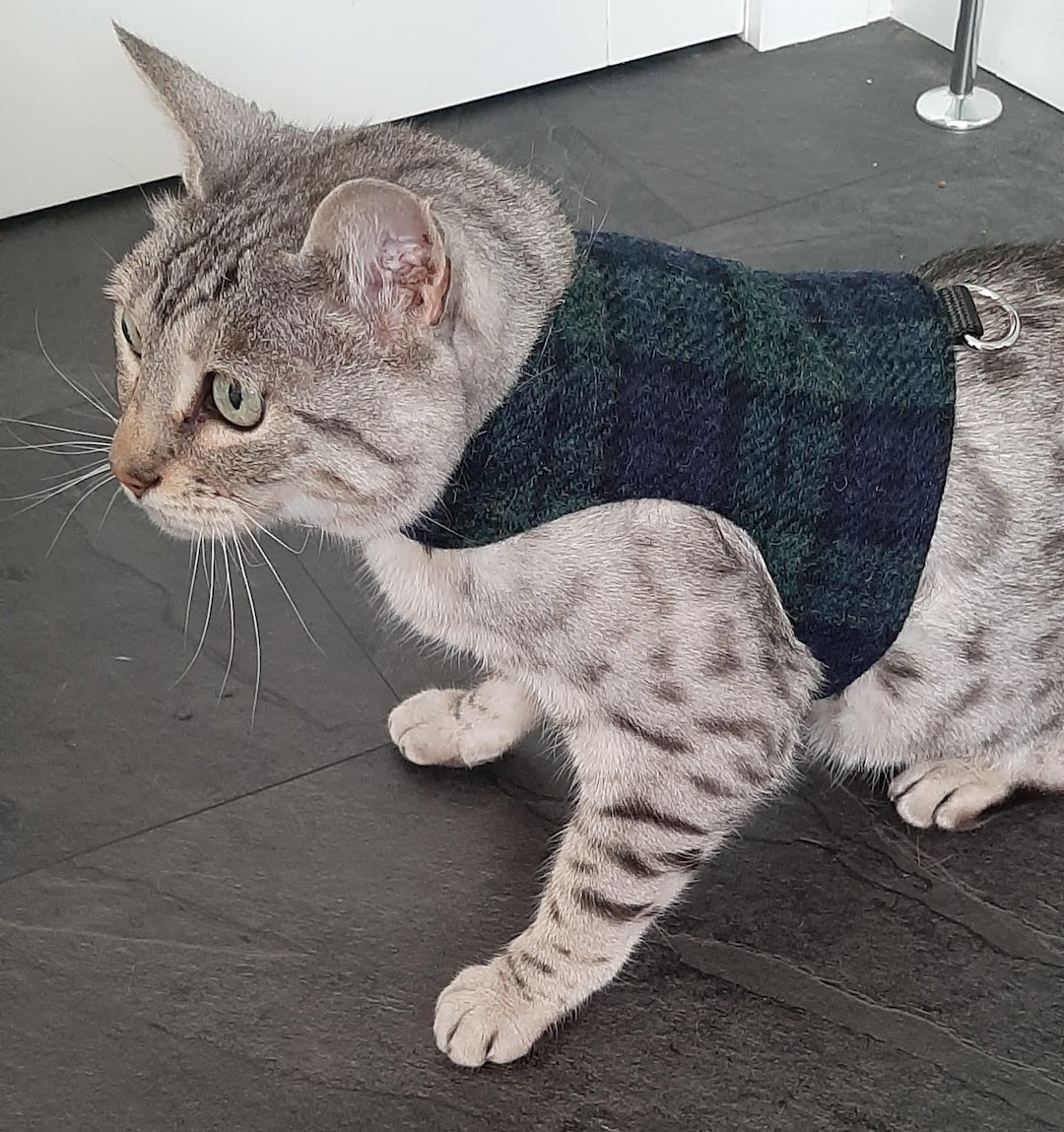 HARRIS TWEED Limited Edition- Ready Made - Cat Harness / Walking Jacket ...