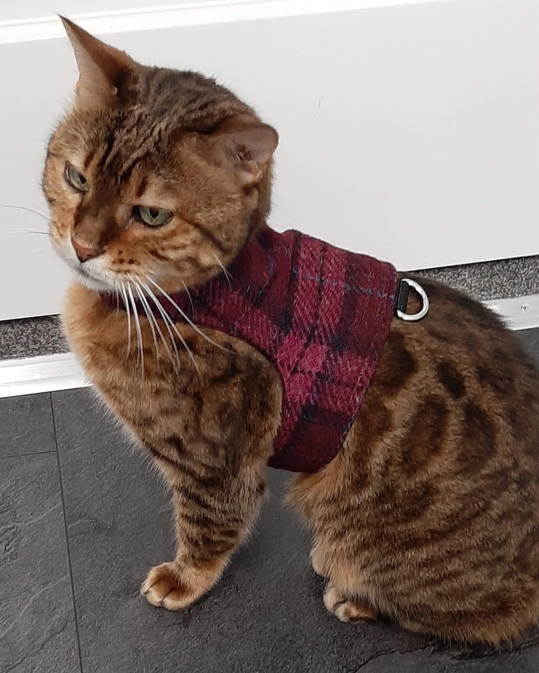 HARRIS TWEED Limited Edition Ready Made Cat Harness/walking Jacket by ...