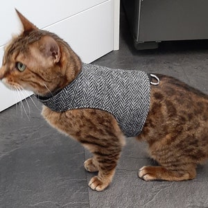 HARRIS TWEED Limited Edition Ready Made Cat Harness / Walking Jacket by ...