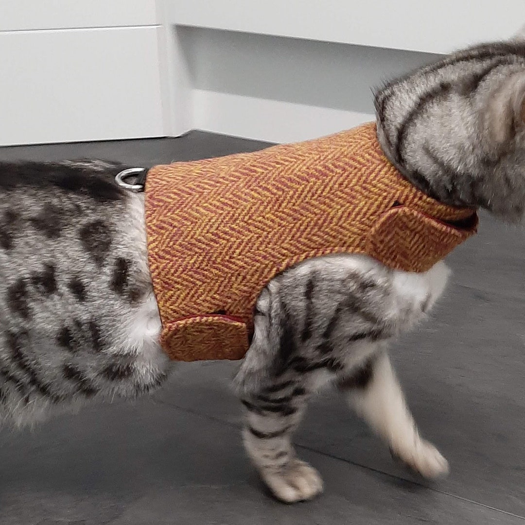 HARRIS TWEED Limited Edition Ready Made Cat Harness /walking Jacket by ...