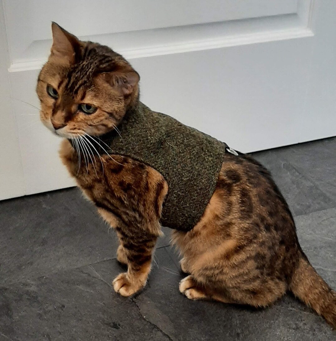 HARRIS TWEED Limited Edition Ready Made Cat Harness / - Etsy
