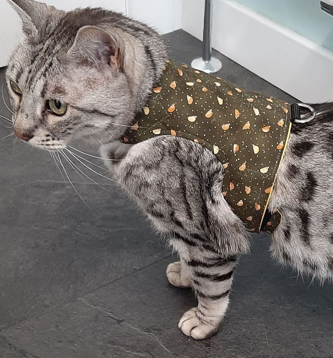 Cat Harness / Walking Jacket by Land O' Burns Bengals Green COUNTRY ...
