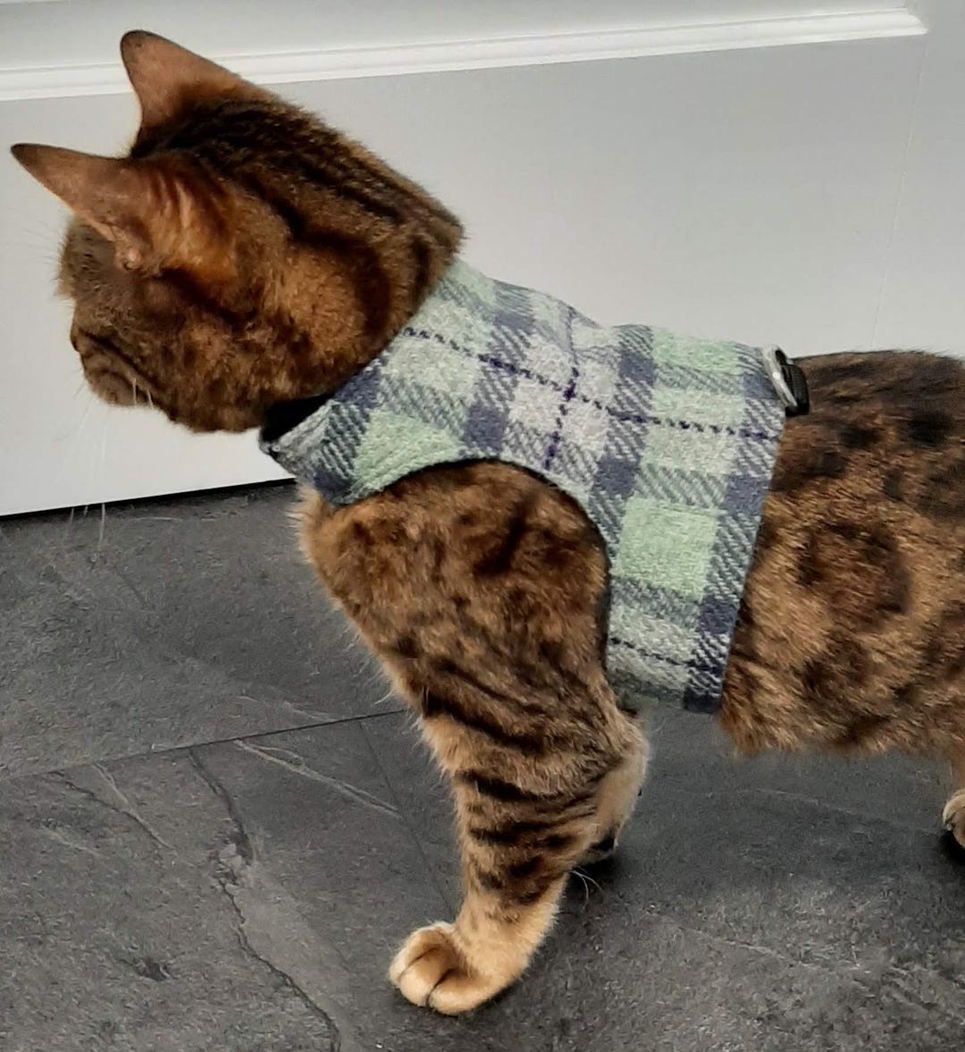 HARRIS TWEED Cat Harness / Jacket by Land O' Burns Bengals Grey and ...