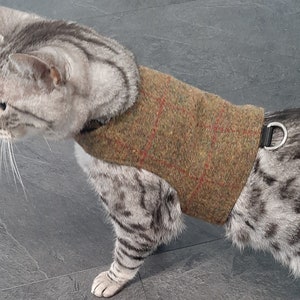 HARRIS TWEED Limited Edition Ready Made Cat Harness/walking Jacket by ...