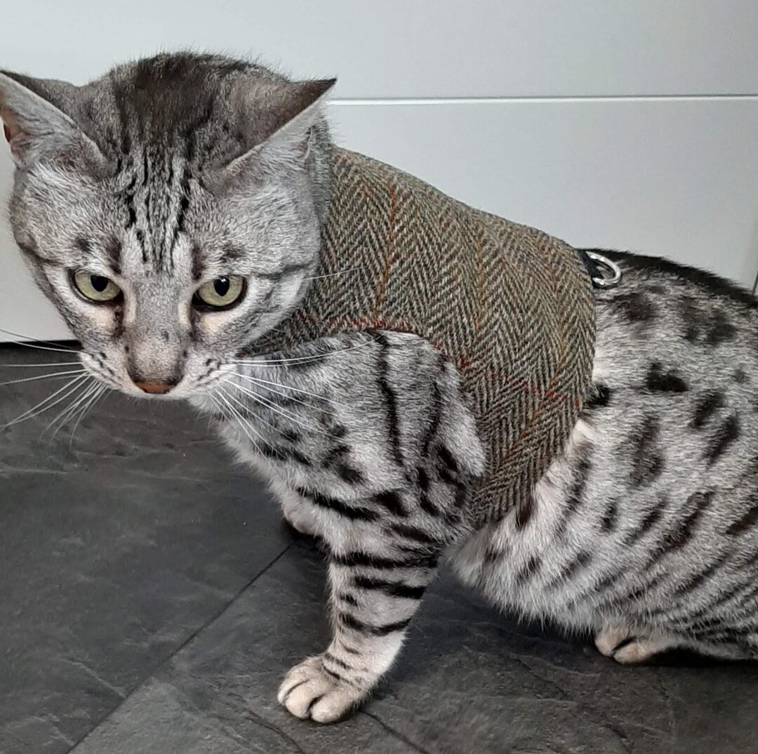 HARRIS TWEED Limited Edition- Ready Made - Cat/kitten Harness /walking ...