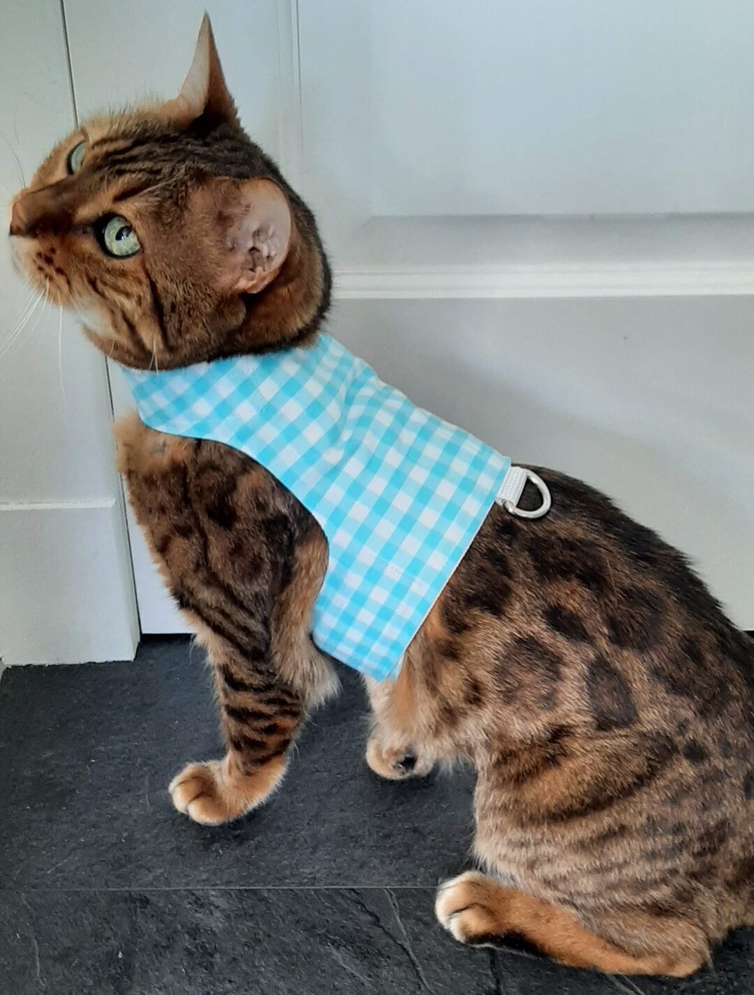 Custom Made to Order Cat Harness / Walking Jacket by Land O' Burns ...