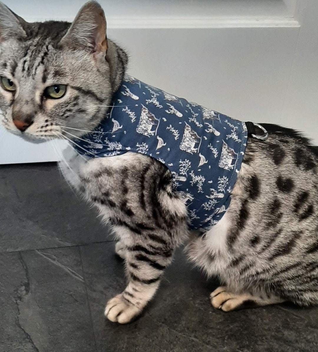 Custom Made to Order Cat Harness / Walking Jacket by Land O' Burns ...