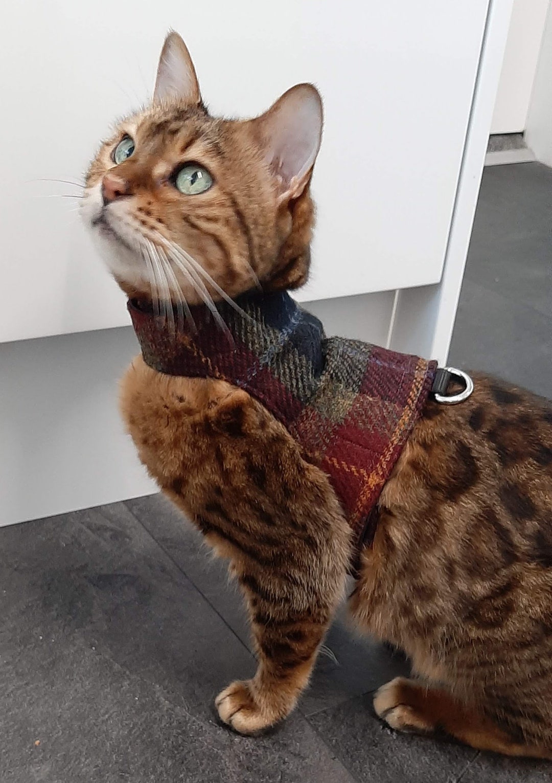HARRIS TWEED Limited Edition Ready Made Cat Harness / - Etsy