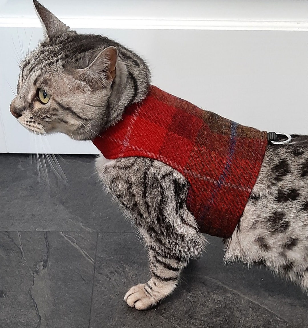 HARRIS TWEED Limited Edition- Ready Made - Cat Harness / Walking Jacket ...
