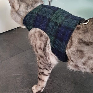 HARRIS TWEED Limited Edition Ready Made Cat Harness / Walking Jacket by ...