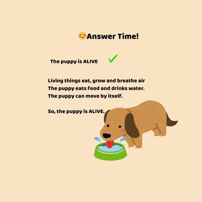 Living and Non Living Things Worksheet for Kindergarten | Preschool ...