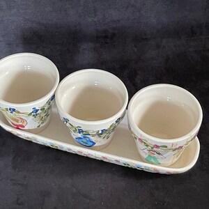 Kathy Hatch in the Garden Planter Pot Trio With Tray - Etsy