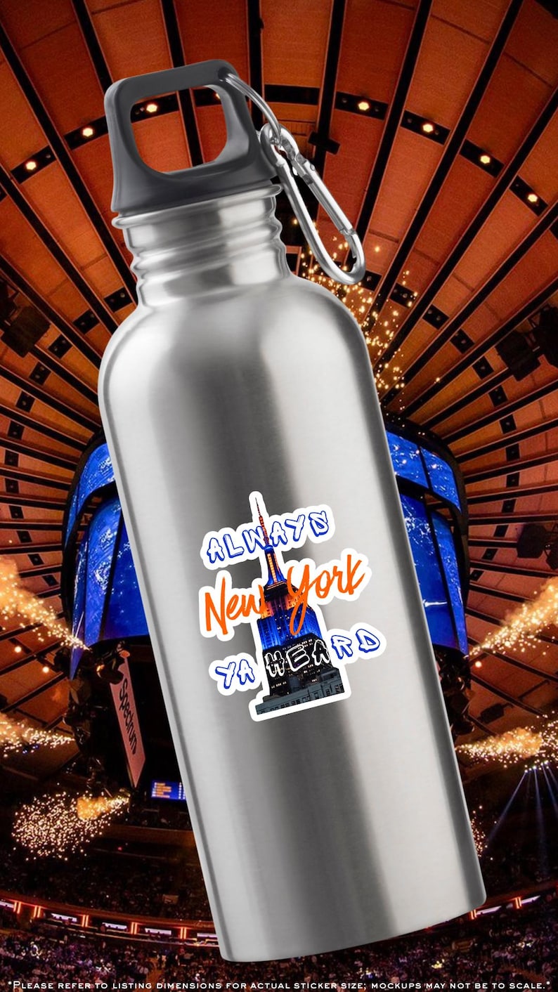 Bing Bong New York Knicks Stickers - Etsy