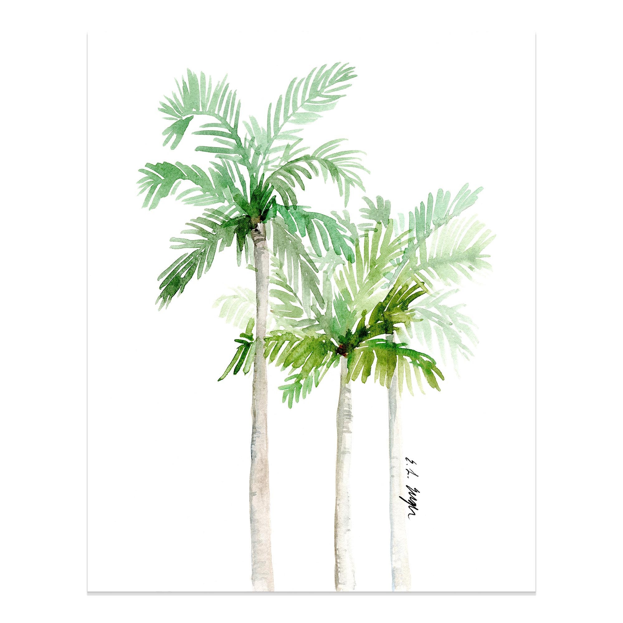 Palm Tree Watercolor