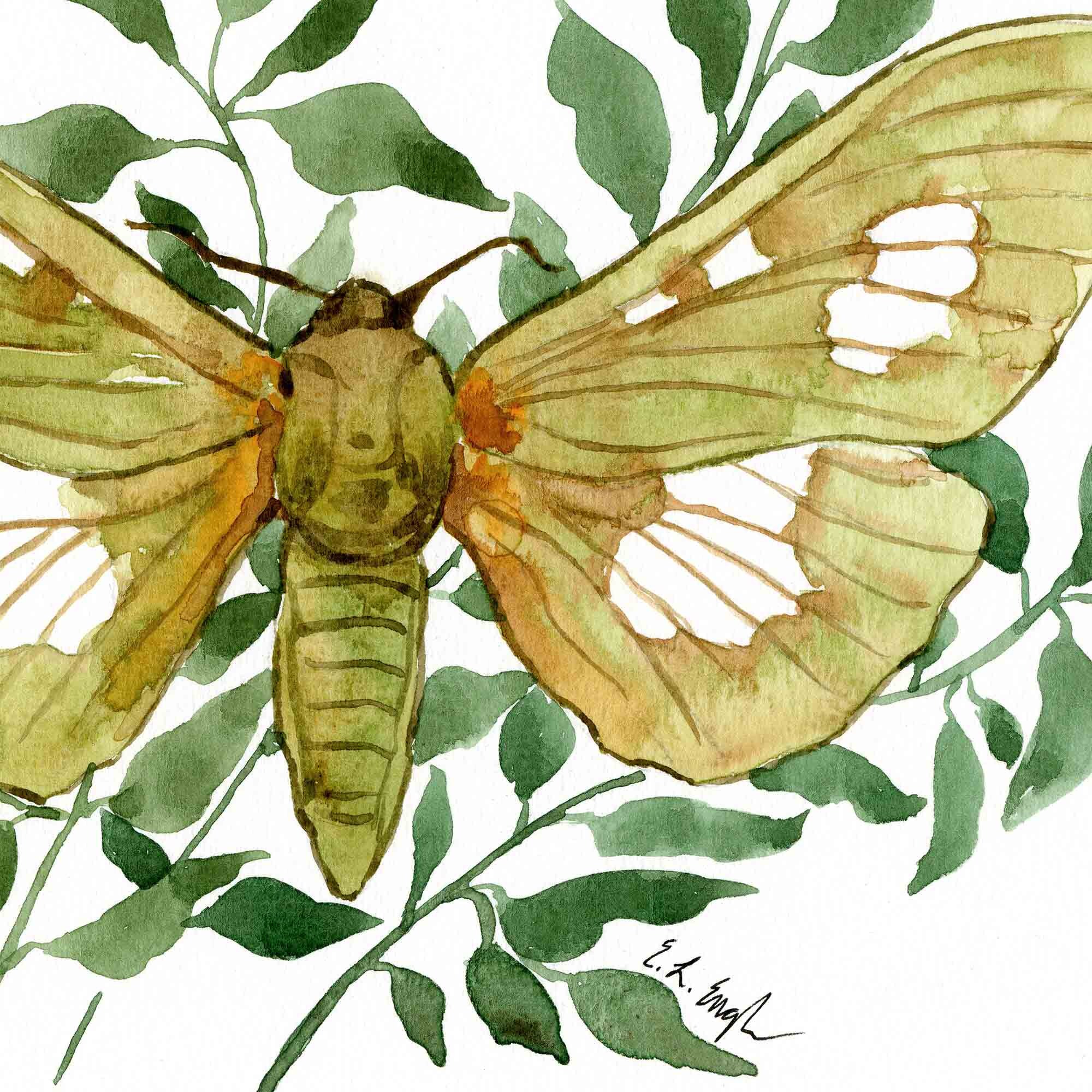 Green Pyralid Moth, Original Watercolor Moth Painting, Colorful Bug Art ...