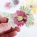 Watercolor Flowers Cut Outs, Collage Art Kit, Hand Painted Watercolor ...