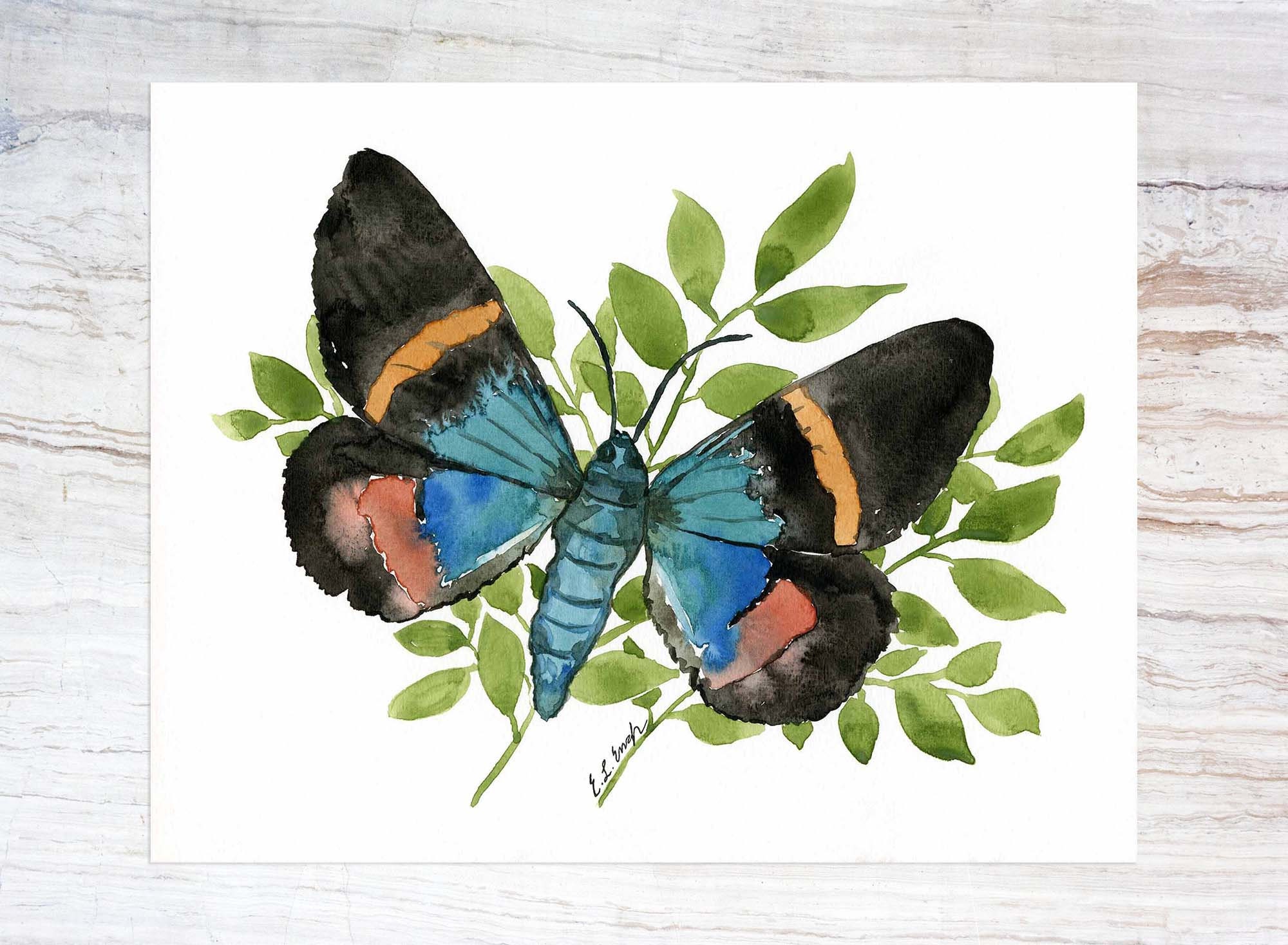 Original Watercolor Moth Painting, Colorful Butterfly Art, Original ...
