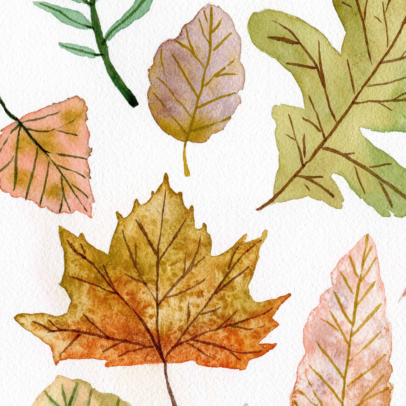 Pastel Fall Leaves Watercolor, Original Watercolor Art, Original ...