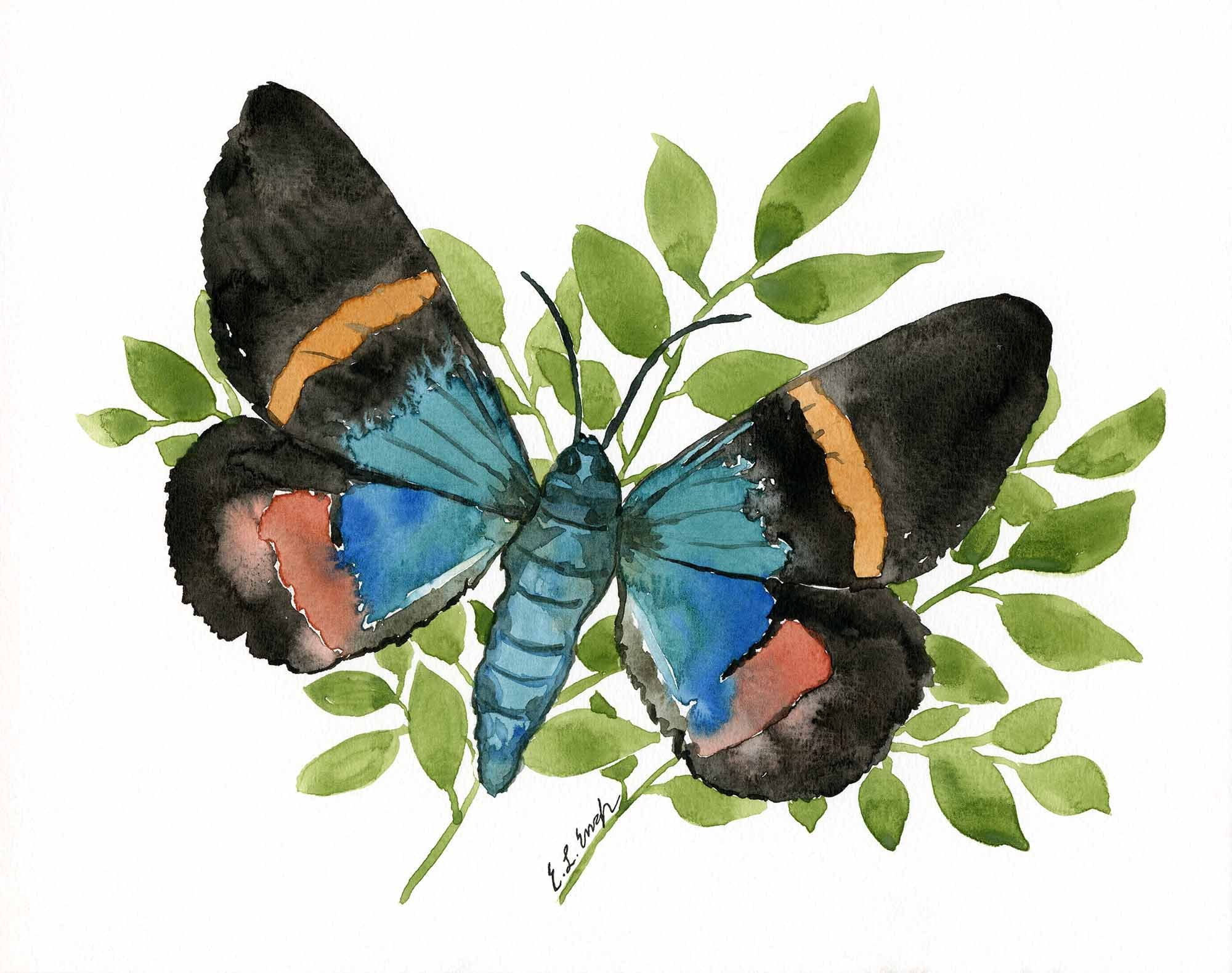 Original Watercolor Moth Painting, Colorful Butterfly Art, Original ...