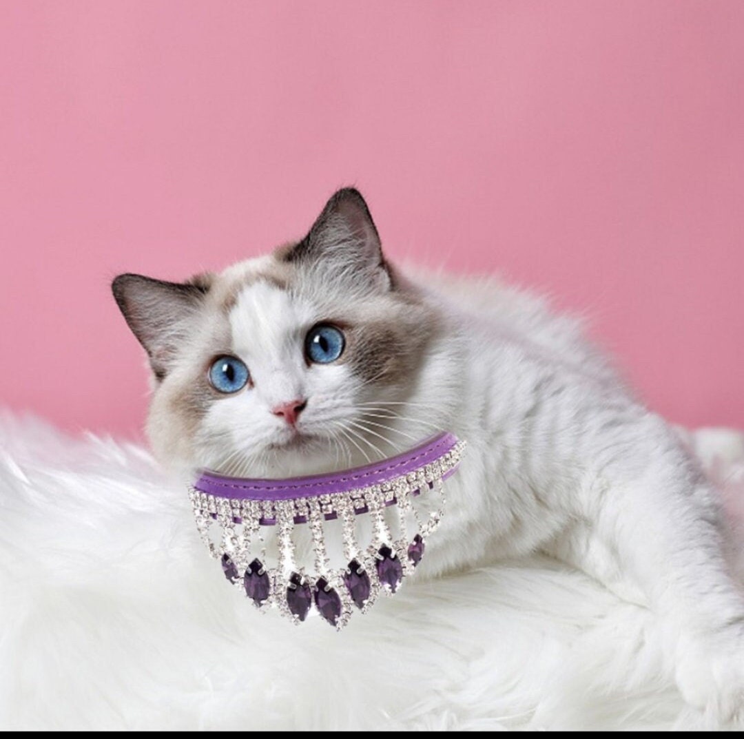 Purple Rhinestone Pet Collar, Purple Bling Pet Collar, Pampered Pet ...