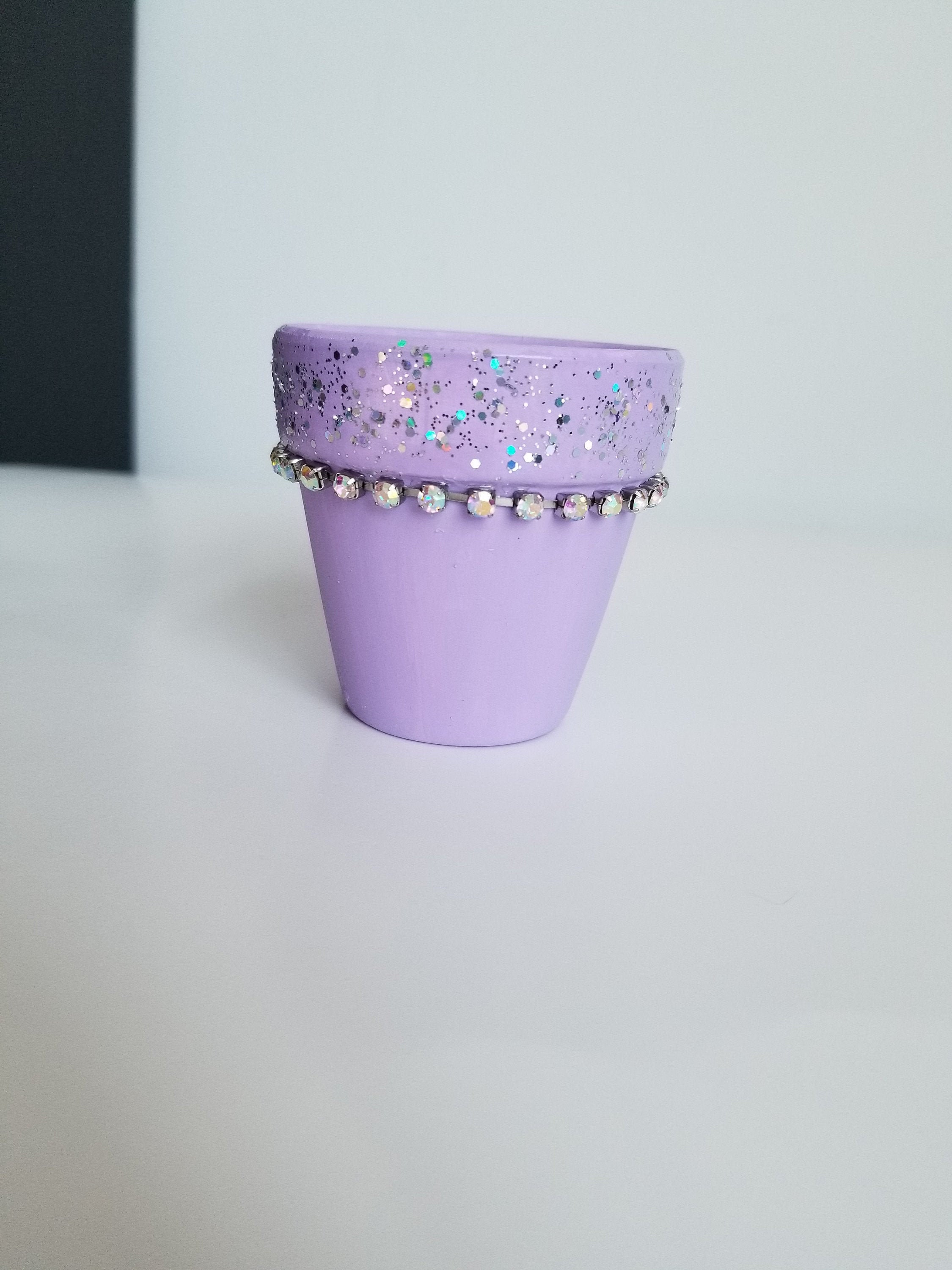 Succulent Gift, Succulent Planter, Bling Flower Pot, Indoor Planter ...