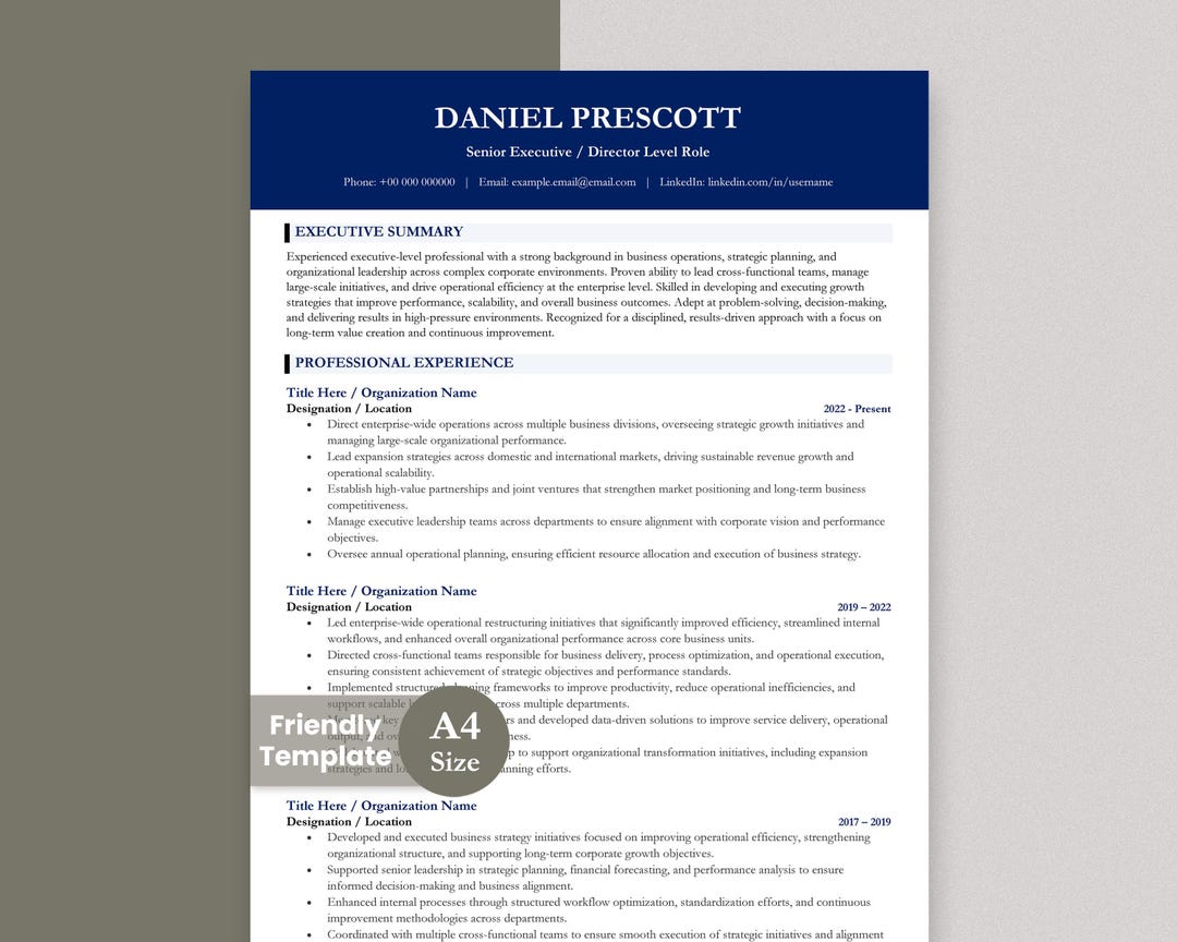 Executive Resume Template Word, Google Docs CV, Professional 2 Page ...