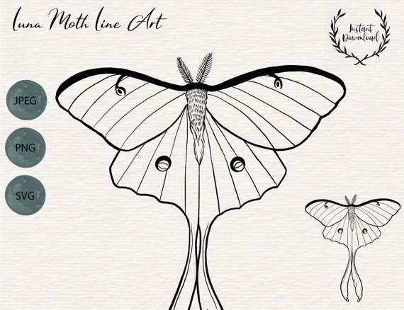 Luna Moth Line Artwork Digital Download JPEG PNG SVG - Etsy