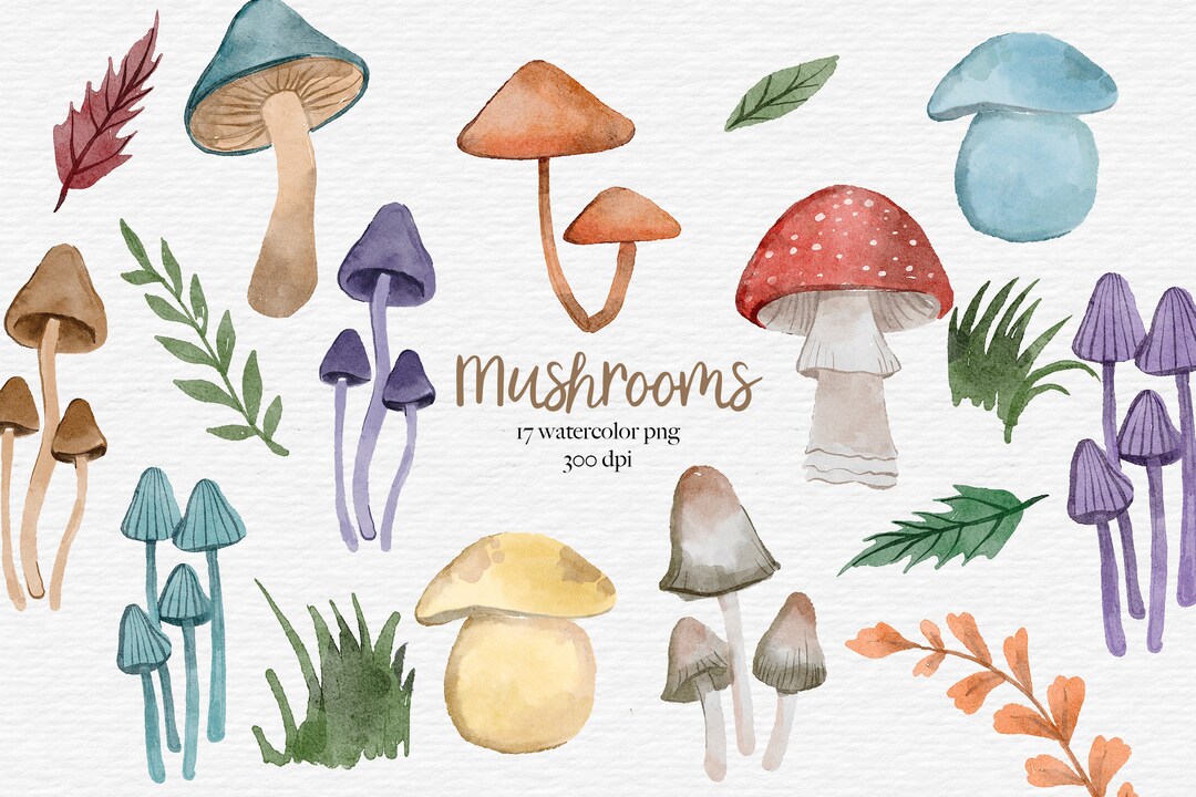 Watercolour Mushrooms Clipart, Fall Forest Fungus Clipart, Woodland ...