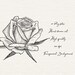 Hand Drawn Roses Clipart, Flowers Doodle Clipart, 10 Png Files, INSTANT ...