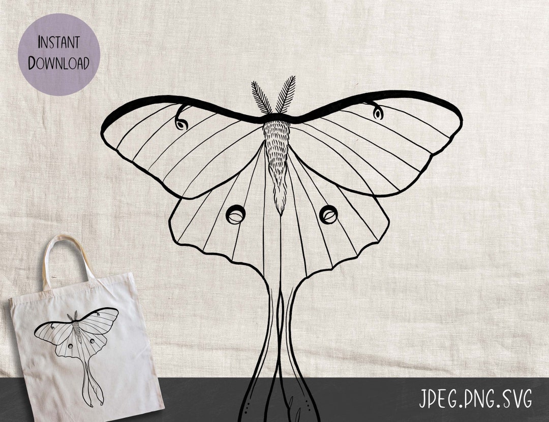Luna Moth Line Artwork, Digital Download JPEG, PNG, SVG - Etsy