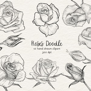 Hand Drawn Roses Clipart, Flowers Doodle Clipart, 10 Png Files, INSTANT ...