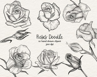 Hand Drawn Roses Clipart, Flowers Doodle Clipart, 10 Png Files, INSTANT ...