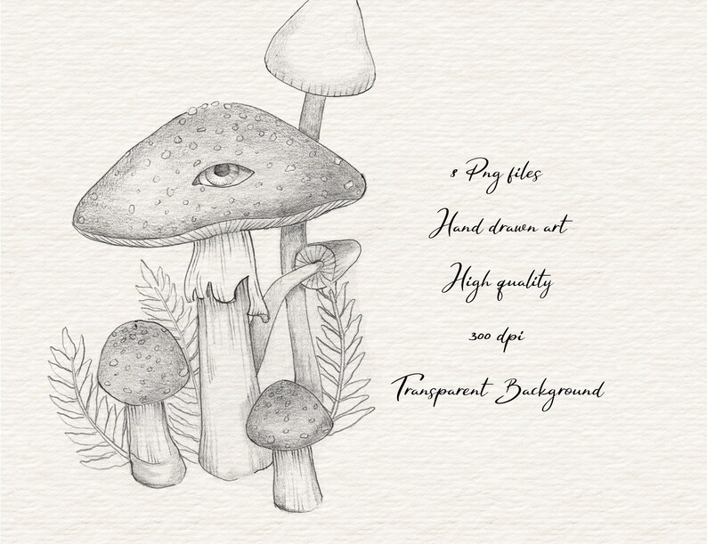 Hand Drawn Mystical Mushroom Clipart, Mushroom Doodle Digital Download ...