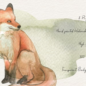 Hand Painted Watercolor Fox Clipart, Nursery Woodland Animals Clipart ...
